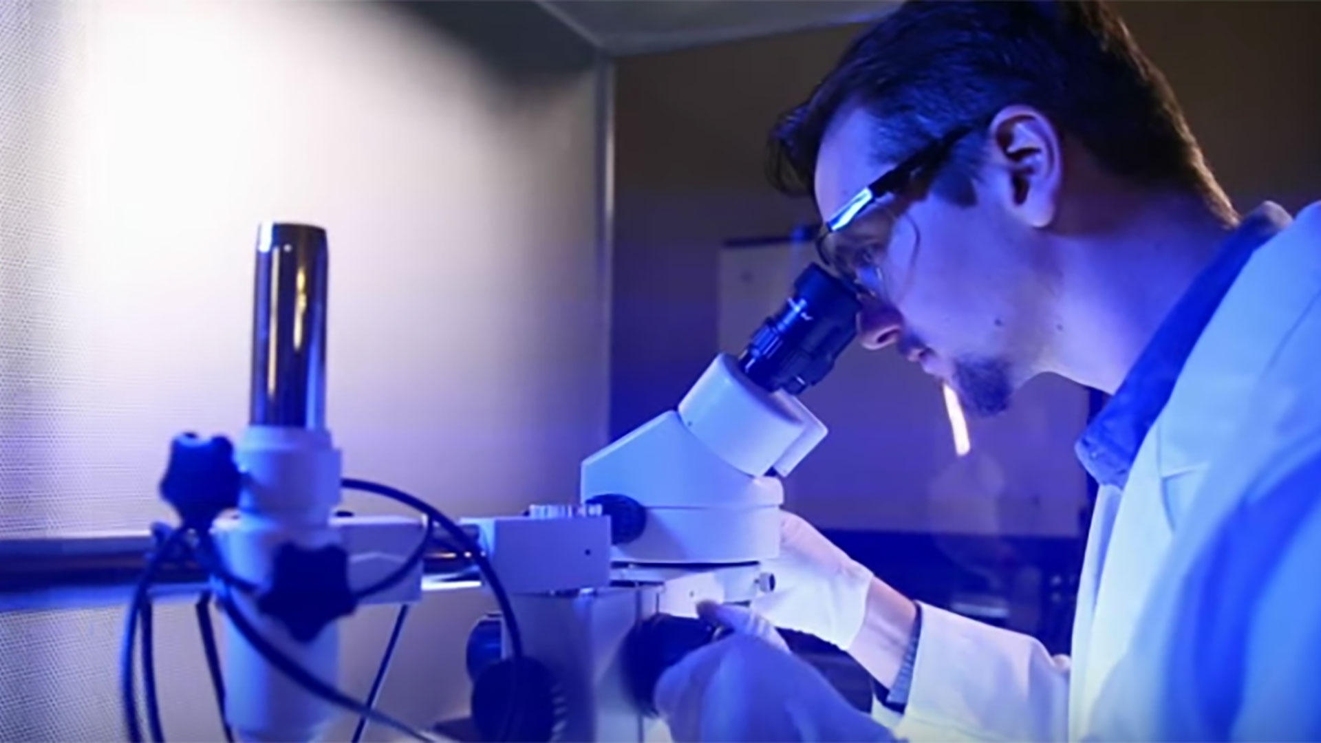 Careers - Entanglement Technologies